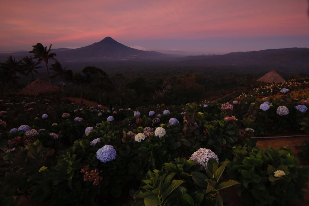 Puncak Tetetana Kumelembuai Tomohon: Pesona Keindahan Alam yang ... Puncak Tetetana Kumelembuai Tomohon: Pesona Keindahan Alam yang ...